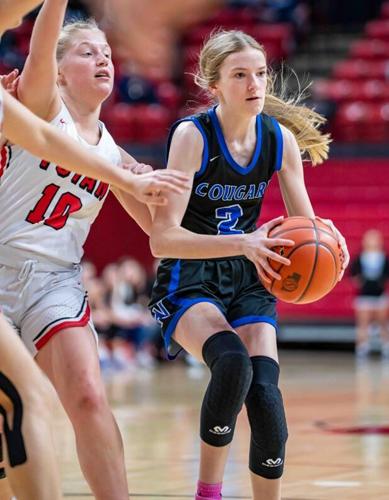 Miller reaches 2,000 points in Niobrara/Verdigre loss | Select ...