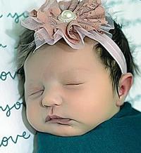 Elise Nelson | Births | norfolkdailynews.com