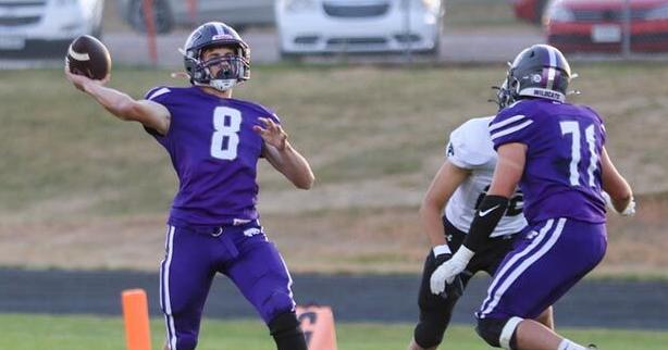 Hartington-Newcastle upset by EMF in Class D1 playoffs | Select ...