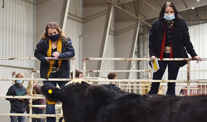 More than 500 students attend livestock judging contest at Northeast ...