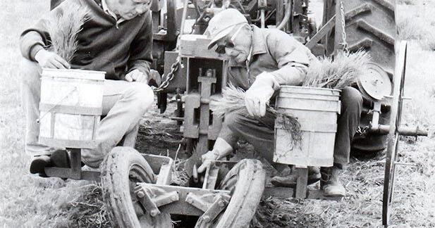 Nebraska S Nrds Plant 100 Millionth Tree News Norfolkdailynews