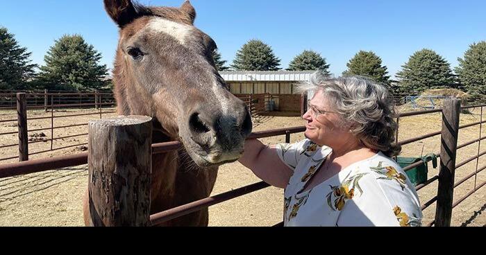 Equine ranch owners offering ‘chance to move forward’ | Feature ...