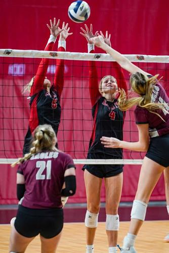 Norfolk Catholic advances to Class D1 state final | Select ...