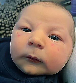 Cooper Halsey | Births | norfolkdailynews.com