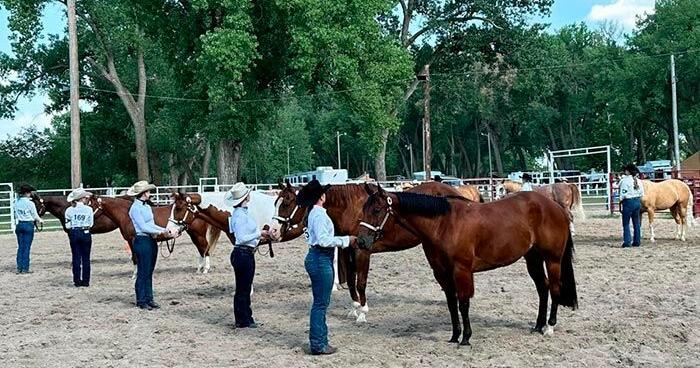 Livestock show and rodeo at Wisner this weekend | News ...