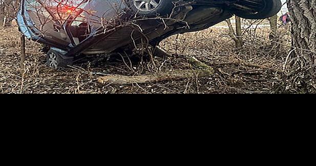 Car in tree | | norfolkdailynews.com