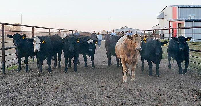 Northeast ag students involved in planning at new Acklie Family College ...