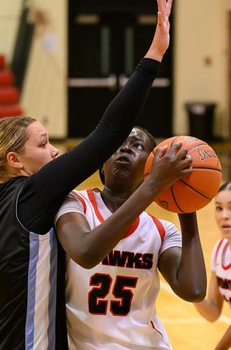 Hawks split a pair of games with Southeast CC | Select ...