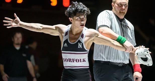 No. 6 Panthers top No. 4 Discoverers | Select | norfolkdailynews.com