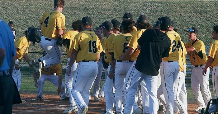 Walk-off homer gets Wayne State back on track | Select ...
