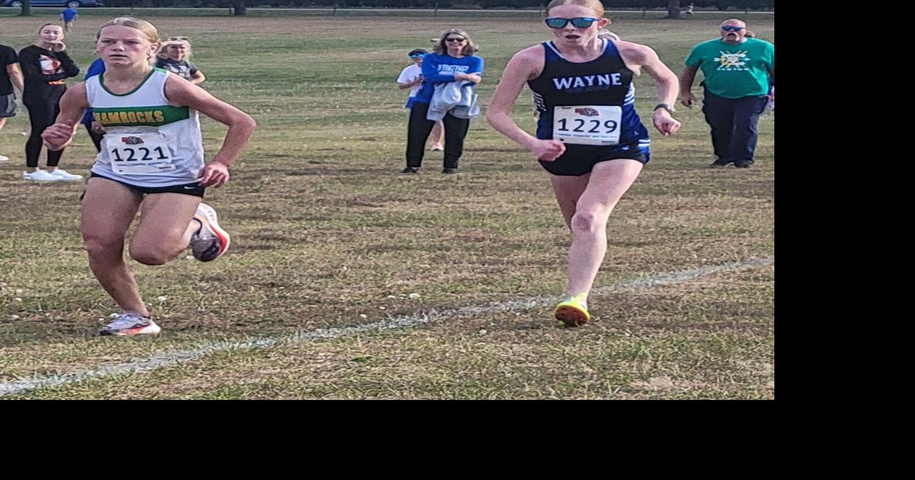 Hurner, Bolling claim C-3 district titles | Select | norfolkdailynews.com