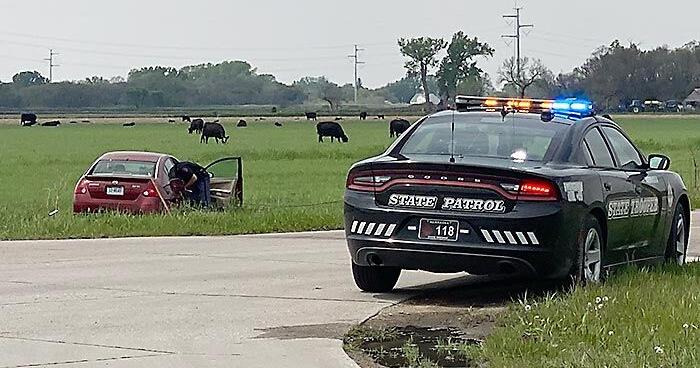 Man who stole car, crashed into field sentenced to prison after failed ...