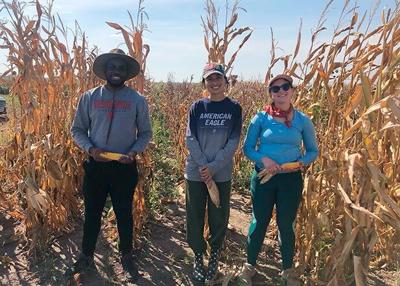 Fields of the future, AI meets farming | Agriculture | norfolkdailynews.com