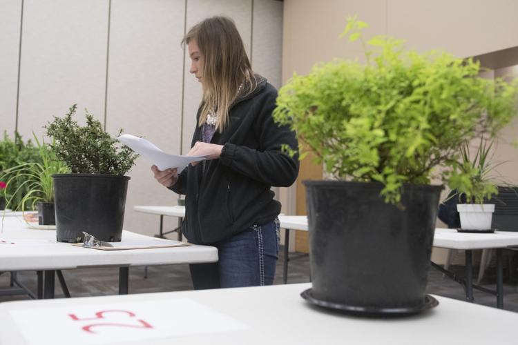 NACTA Conference | | norfolkdailynews.com