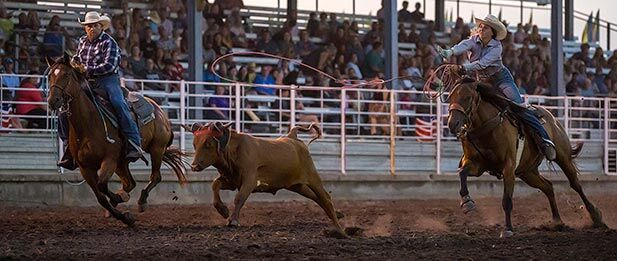 Norfolkan wins barrel race at rodeo competition | Select ...