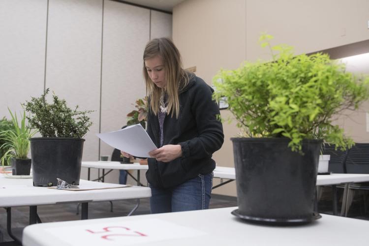 NACTA Conference | | norfolkdailynews.com