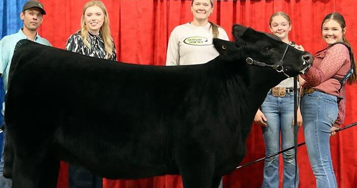 ‘Hard work’ pays off at 75th Norfolk Beef Expo | Select ...