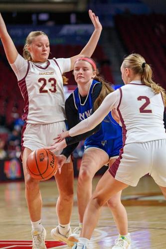 DCS pulls away from Wynot for D2 title | Select | norfolkdailynews.com