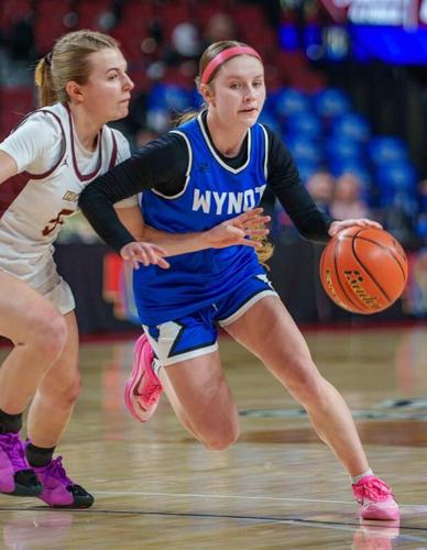 DCS pulls away from Wynot for D2 title | Select | norfolkdailynews.com