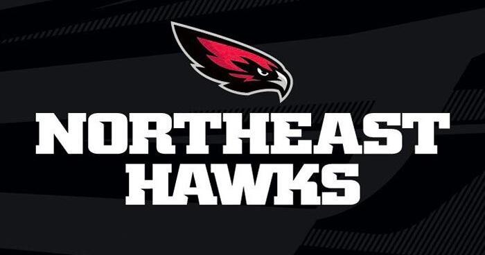 Sixteen Hawks honored | Sports | norfolkdailynews.com