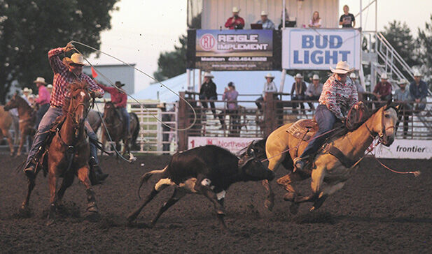 Sorrows, triumphs abound during city boy’s first county fair visit ...