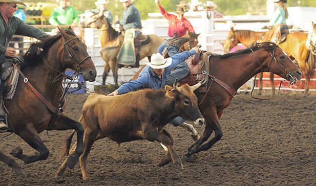 Sorrows, triumphs abound during city boy’s first county fair visit ...