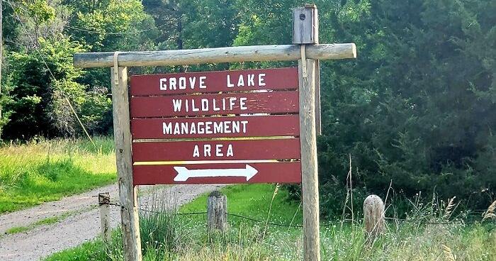 Project will improve access for boaters, anglers at Grove Lake WMA ...