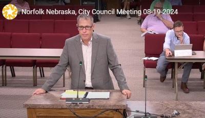 Norfolk City Council approves grant application for softball fields ...
