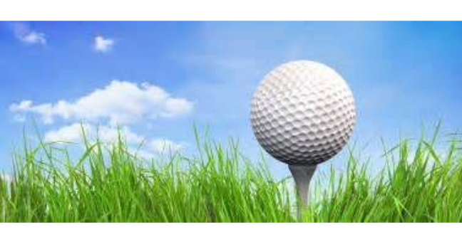 Huskies, Braves, Blue Devils last area teams to qualify for state golf ...