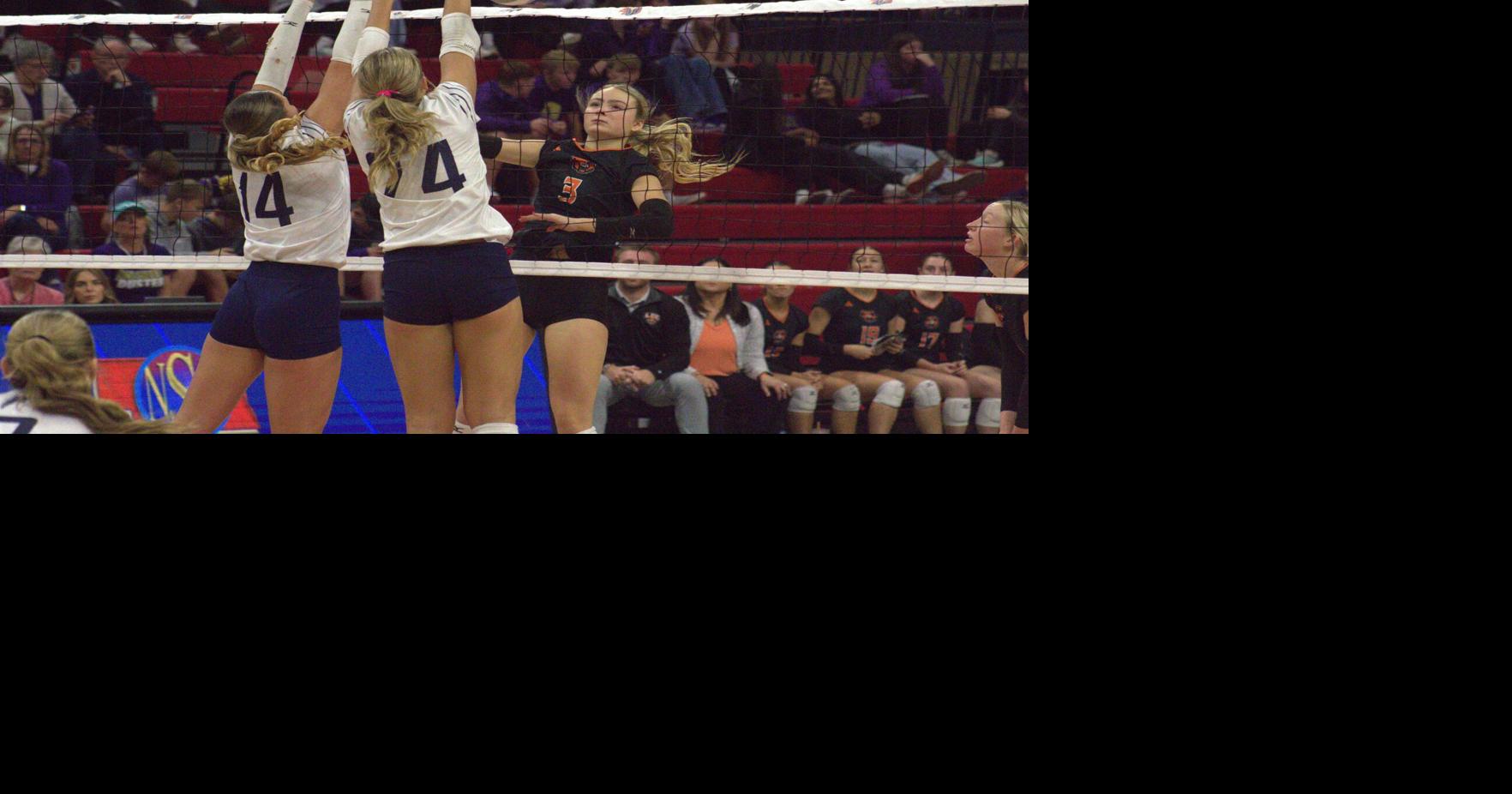 LCC's title run falls just short as Bears finish runners-up in C2 ...