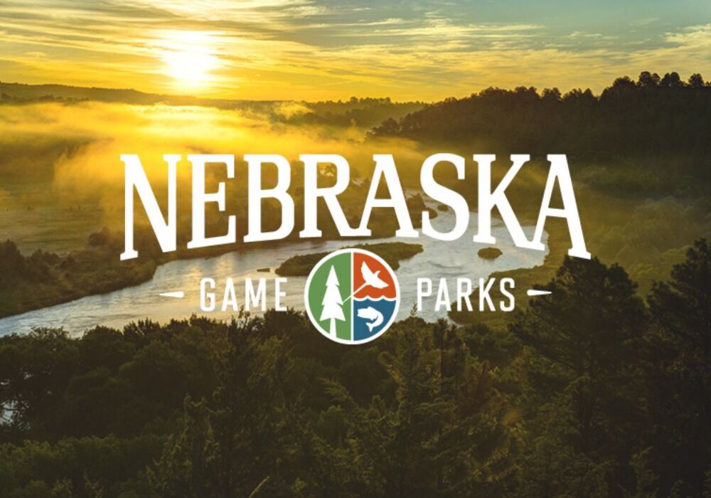 Multispecies lottery applications accepted beginning Jan. 2 | News ...