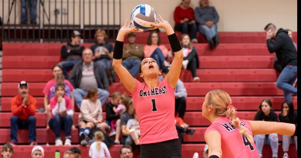 Hawks season comes to a close in Region 11 tournament quarterfinals ...