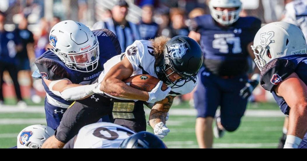 Watkins' late TD run gives Wayne State football 33-28 win at UMary in ...