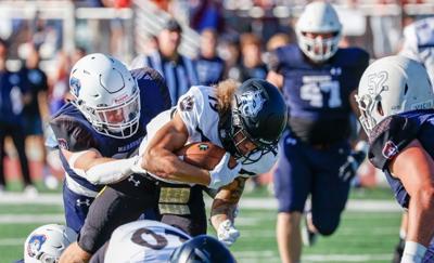 Watkins' late TD run gives Wayne State football 33-28 win at UMary in ...