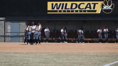 Wayne State softball opens Florida spring-break trip with pair of ...