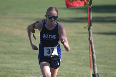 Wayne's Hurner captures first career gold, Bear girls finish 1st at ...