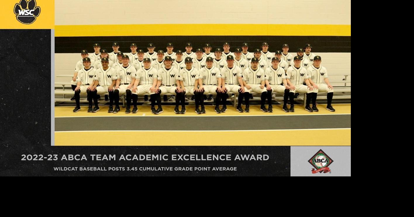 Wayne State baseball eans ABCA team academic excellence award | Sports ...