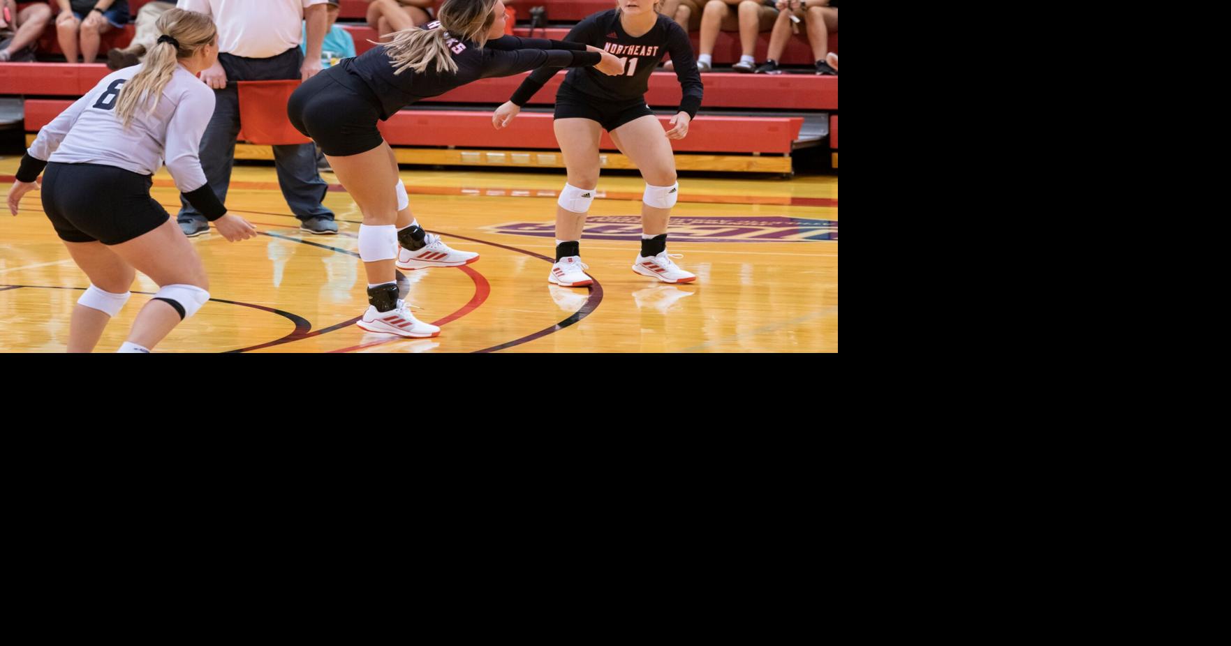 Northeast volleyball has topsy-turvy weekend | Sports | norfolkneradio.com