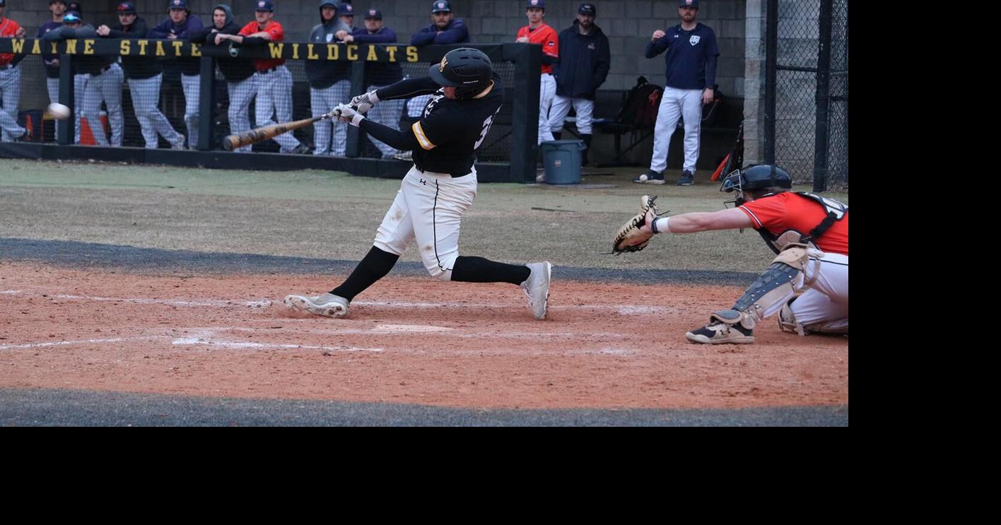 Babe's 6-hit game helps Wayne State split twin bill with UMary | Sports ...