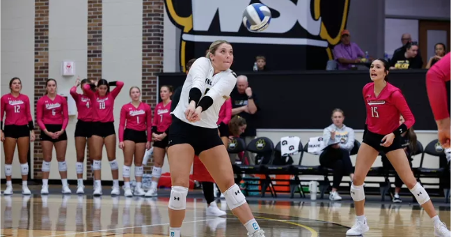 #8 Wayne State scores 3-1 win at Minnesota State | Sports ...