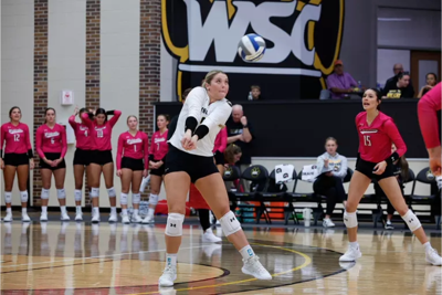 #8 Wayne State scores 3-1 win at Minnesota State | Sports ...