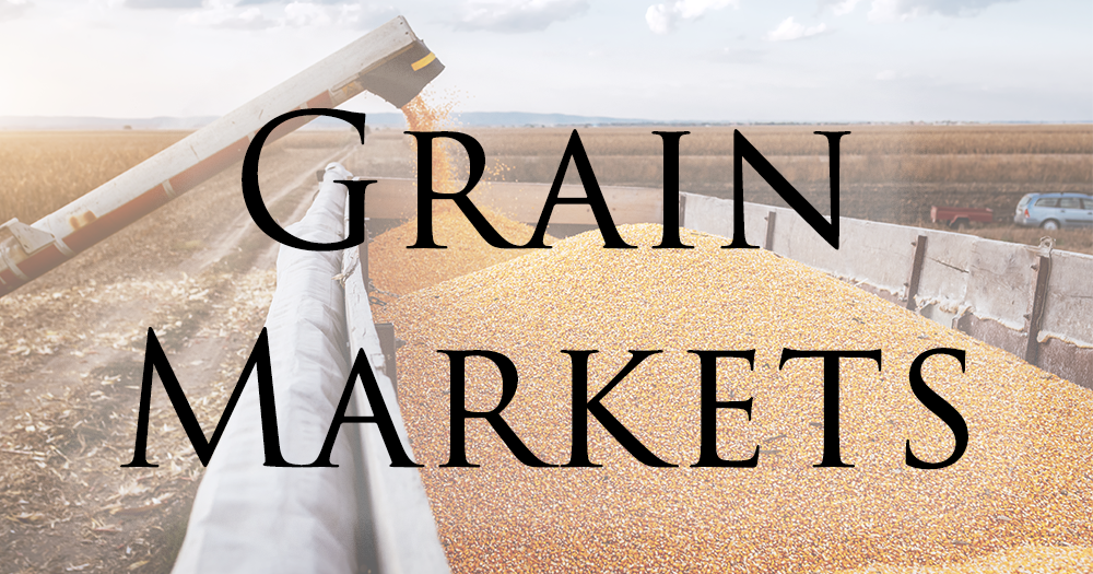 Cash Grain - NORTHEAST NEBRASKA AREA ELEVATORS | Grains | norfolkneradio.com