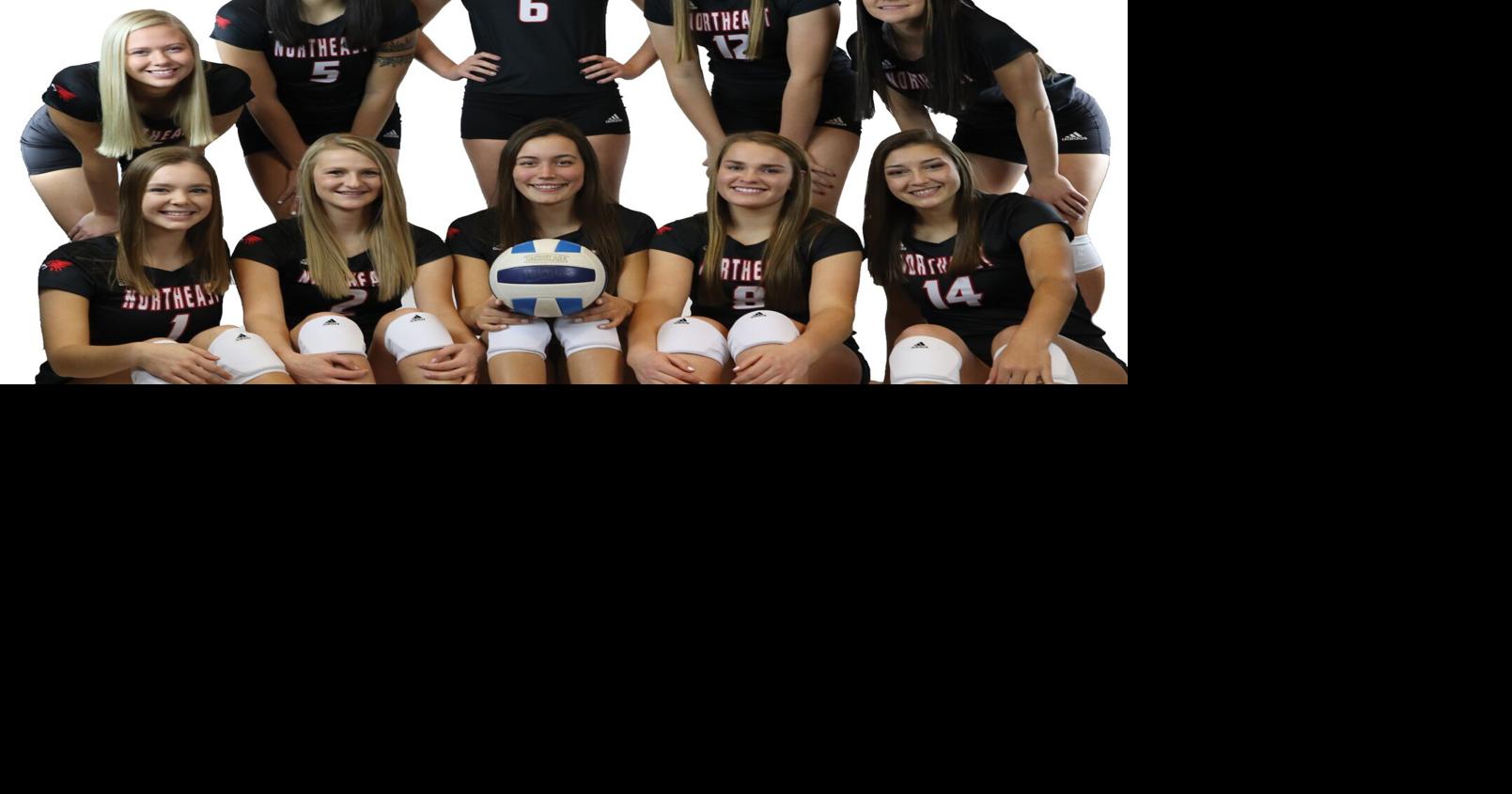 Northeast Hawks volleyball swept on the road by Hawkeye CC | Sports ...