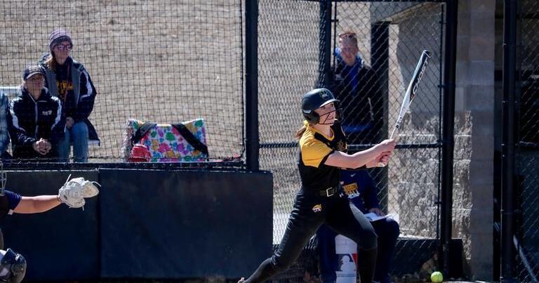 Wayne State softball falls twice in Florida Thursday afternoon | Sports ...