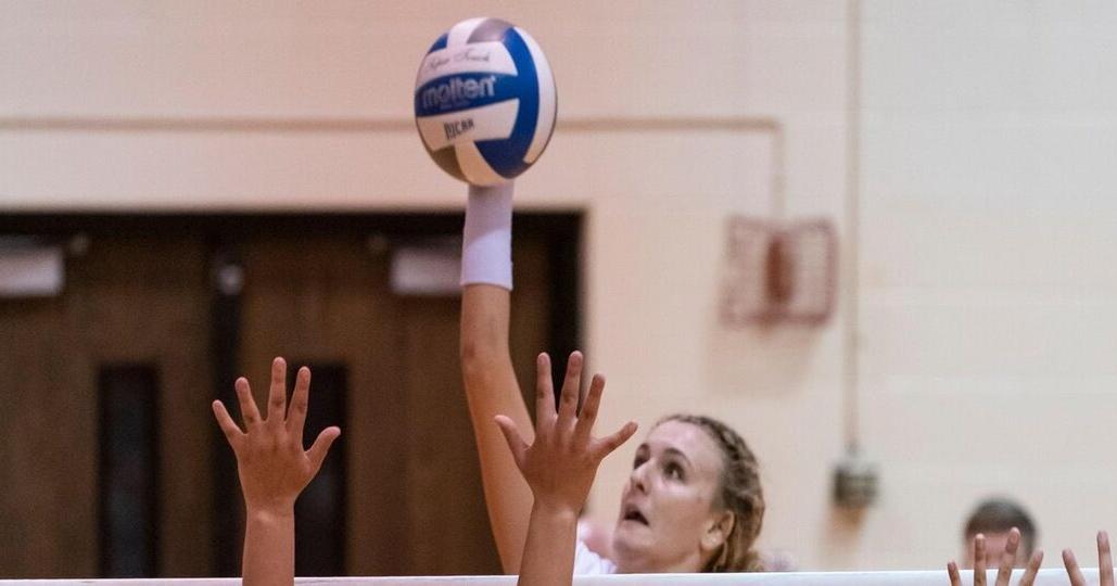 Hawks fall to No. 18 DMACC in four | Sports | norfolkneradio.com