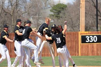 Wayne State uses walk-off double as they split series with Mustangs ...