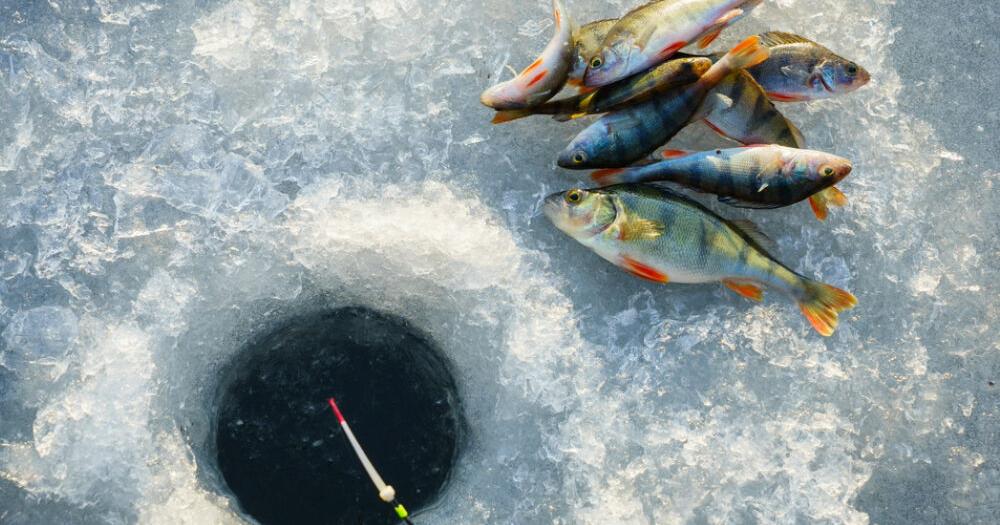 On-ice Discover Ice Fishing event at Norfolk cancelled | News ...