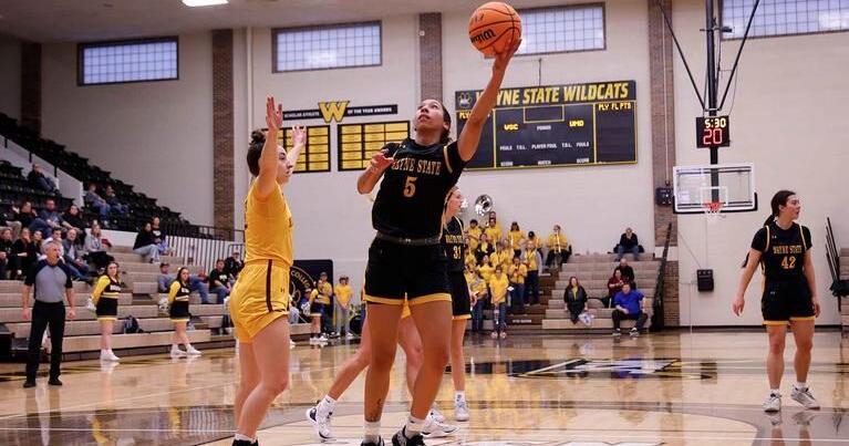 Wayne State women fall to Minnesota Duluth 70-57 | Sports ...
