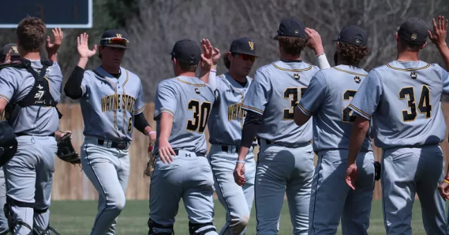 Wayne State baseball announces eight signings | Sports | norfolkneradio.com