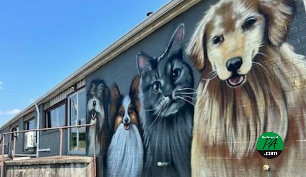 New restaurant to welcome canines, kids | Business | northcentralpa.com